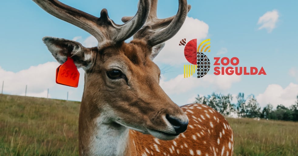 Sigulda Zoo apmeklējums - Biļešu Serviss
